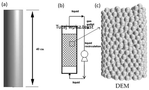bio hydrogen production in packed bed continuous plug flow reactor—cfd