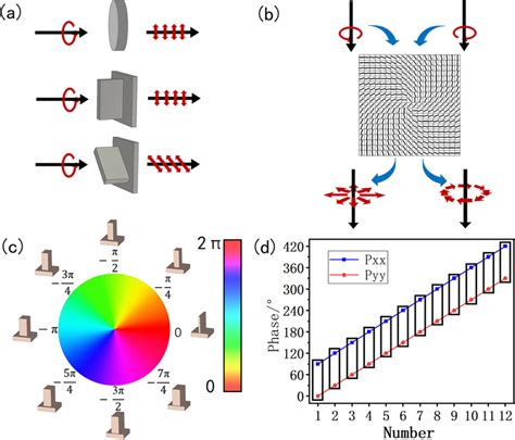 a anisotropic structures with specific parameters can convert circular