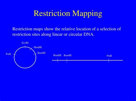 ppt week 11 mapping powerpoint presentation free download id 433565