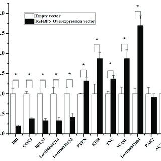 Quantitative PCR Based Validation On The Representative DEGs Identified Download Scientific