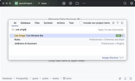 Tool Windows DataGrip Documentation