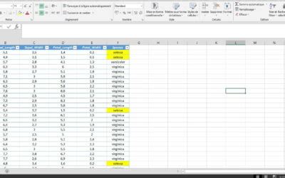 ᐉ Utiliser la fonction trim d excel pour nettoyer les données en un
