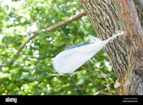Plastic Bag Caught On Tree Stock Photo Alamy