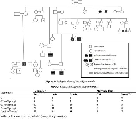 Consanguinity Chart A Visual Reference Of Charts Chart Master