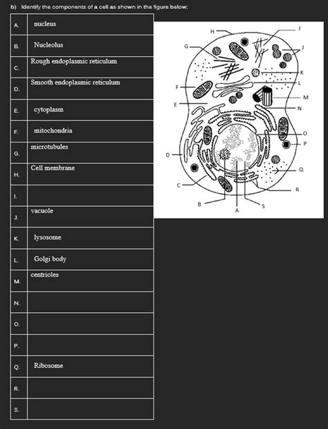 Solved B Identify The Components Of A Cell As Shown In The