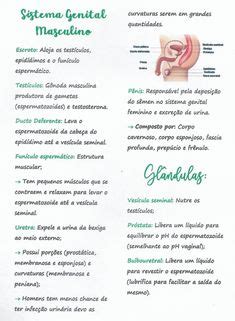 57 Ideias De Anatomia Humana Escola De Medicina Material De