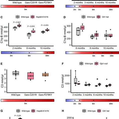 Serum Complement C1q B Analysis In Mice A Control N 7 Gars C201r