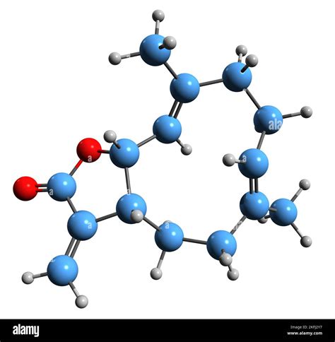 3d Image Of Costunolide Skeletal Formula Molecular Chemical Structure Of Sesquiterpene Lactone