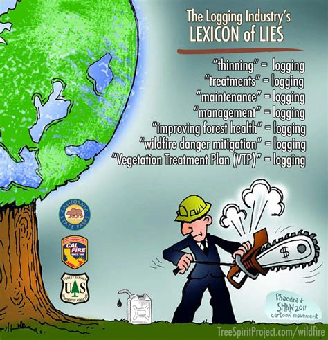 The Logging Industry Lie Forest “management” Treespirit Project