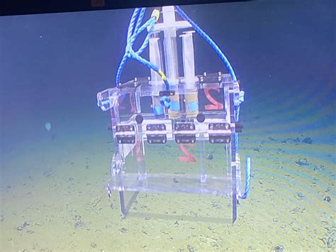 How Does Sediment Deposition Affect Abyssal Benthic Communities Blogs At NOC
