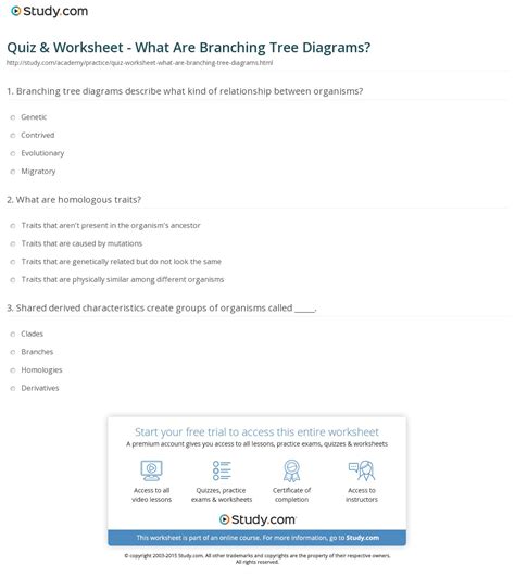 Tree Diagram Definition Exatin Info