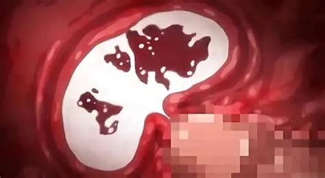 no aguanto más se lo empujó a la mamá de mi amigo xHamster