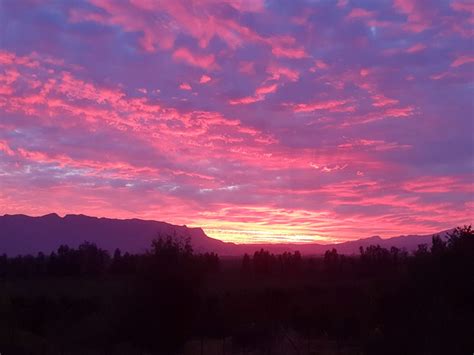 Peacocks Perch In Prince Alfred Hamlet Western Cape