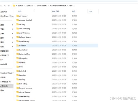 yolov5分类模型训练 yolov5 图片分类训练 csdn博客