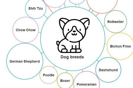 Bubble Map Template Examples Edrawmind