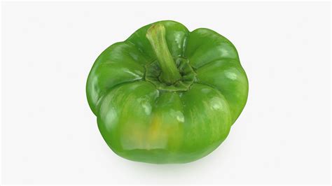 Green Bell Pepper Model Turbosquid 2253908 Green Bell Pepper Model Turbosquid 2253908