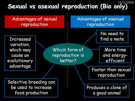 Genes Inheritance And Selection Ppt Download