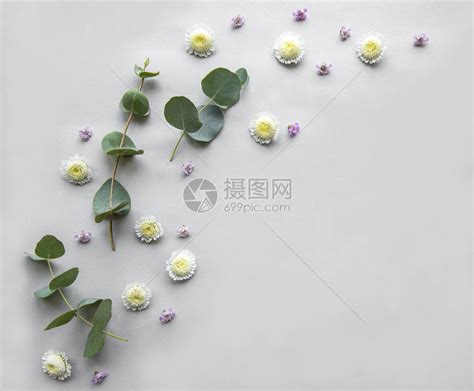 花组成框架由白色背景上的各种五颜六色的花朵制成平躺顶视高清图片下载 正版图片503968289 摄图网
