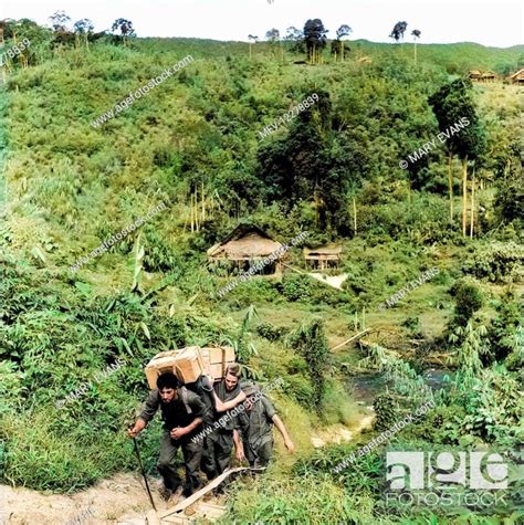 Conscripted And Volunteer British Troops Fighting During The Now