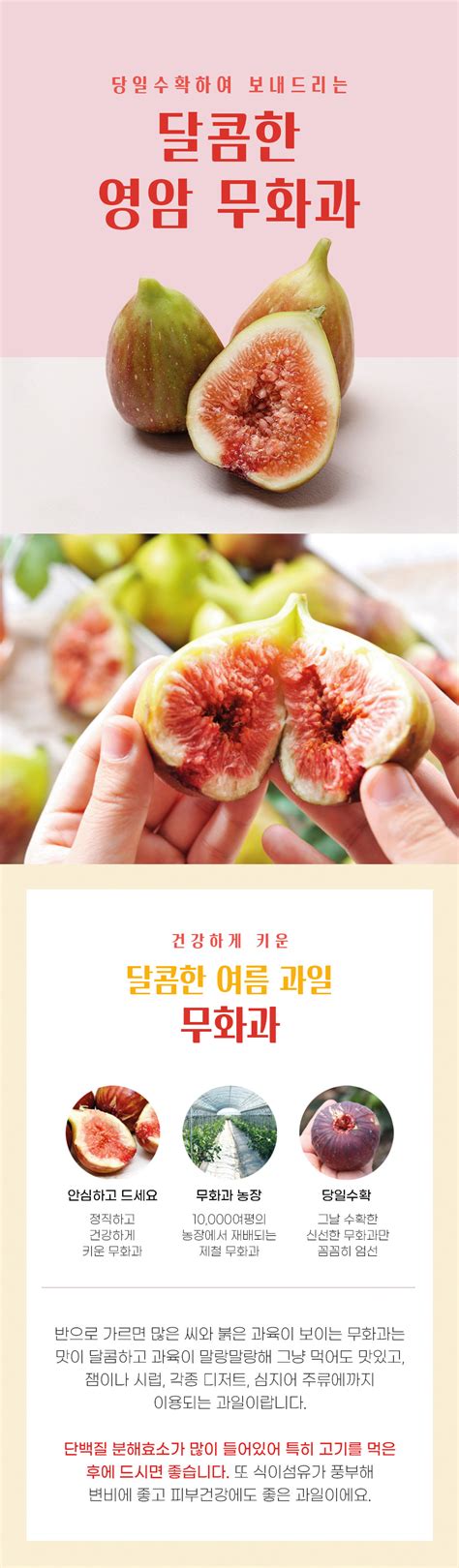 무화과 상세페이지 디자인 상세페이지 포트폴리오 크몽