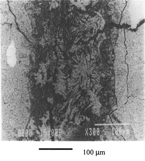 Sem Micrograph Of Healed Crack Download Scientific Diagram
