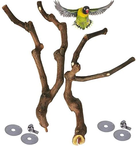 Natural Parrot Perch Bird Stand Pole