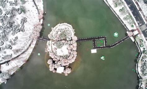 Zhejiang Aandf University Zafu China Admissions