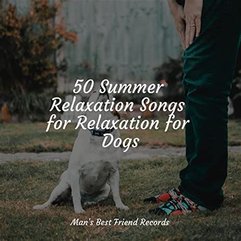 Play 50 Summer Relaxation Songs For Relaxation For Dogs By Jazz Music