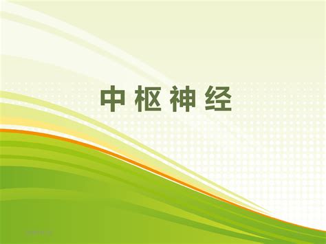 中枢神经ppt课件word文档在线阅读与下载无忧文档