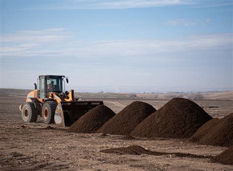 Cattle Feeding The Second Step To Exceptional Beef Agri Beef