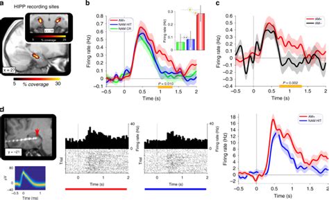 Recollection In The Human Hippocampal Entorhinal Cell Circuitry Nature Communications