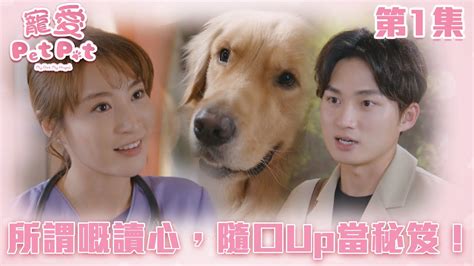 寵愛Pet Pet所謂嘅讀心隨口Up當秘笈周嘉洛林夏薇甜寵喜劇TVB港劇精華 YouTube