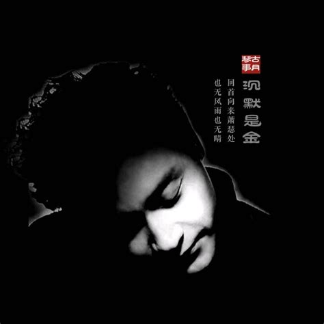 沉默是金（二胡版） 申小萱沉默是金（二胡版）在线试听纯音乐mp3下载 听蛙纯音乐网
