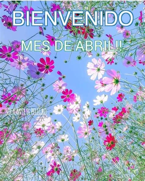 Pin De Naly B En Mis Pines Guardados Saludos De Buenos Dias Imagenes
