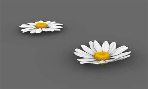 Stl File Daisy Flower Daisy Flower 💐 ・3d Print Object To Download・cults