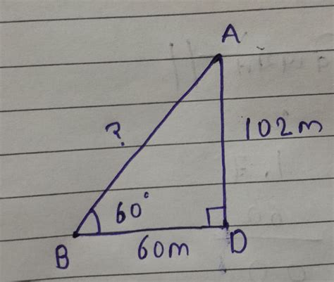 Find The Length Of The Hypotenuse Of The Studyx