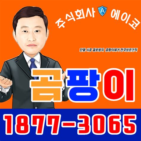 세탁기 뒤 곰팡이 제거 베란다 단열 공사 가격탄성코트 코팅 네이버 블로그