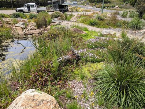 Frankston Nature Conservation Reserve Jeremy Way Frankston South Vic