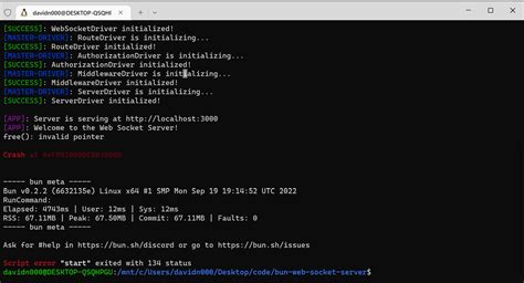 Crash At 0x9e010000e8030000 When Trying To ```serverupgrade``` To