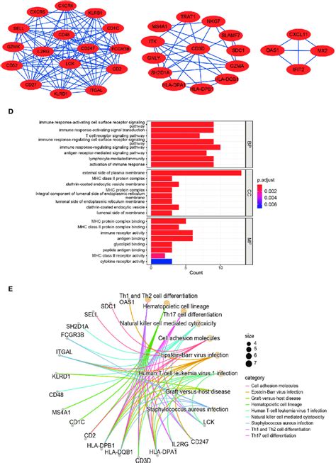top 3 closely connected gene modules and enrichment analysis of the