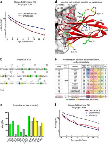Full Article Bispecific Antibody Cap256j3ls Targets V2 Apex And Cd4
