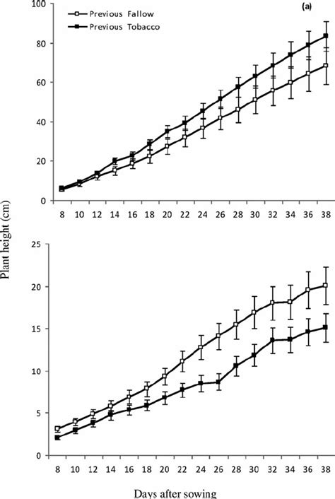 Effects Of Tobacco Allelopathy On Plant Height Of Subsequent A Maize Download Scientific