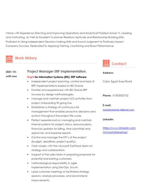 Mostafa Bashar Cv 2024 Pdf Enterprise Resource Planning Technical Support