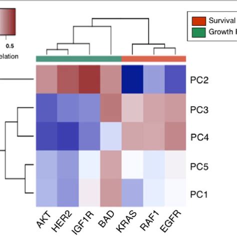 Principal Component Analysis Across Tcga Breast Tumors Correlation