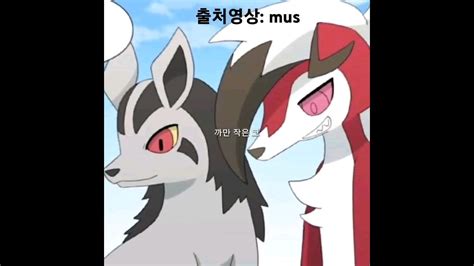출처영상 Sum 템플출처 ㅅㅈ 예쁜아기곰 포켓몬 Youtube