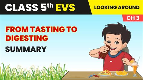 Summary From Tasting To Digesting Class 5 Environmental Studies