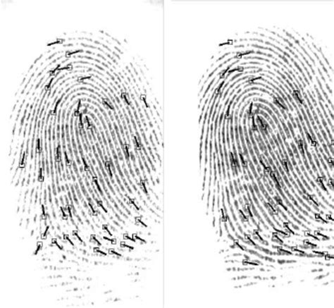 Two Fingerprint Impressions Taken From The Same Finger The Extracted