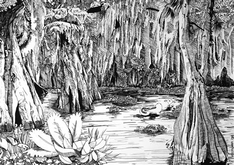 Swamp Drawing At Explore Collection Of Swamp Drawing
