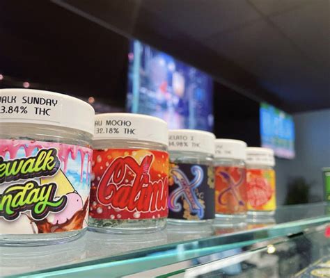 Wild Seed Wellness Dankcity