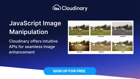 Building An Interactive Javascript Image Manipulation Tool Cloudinary